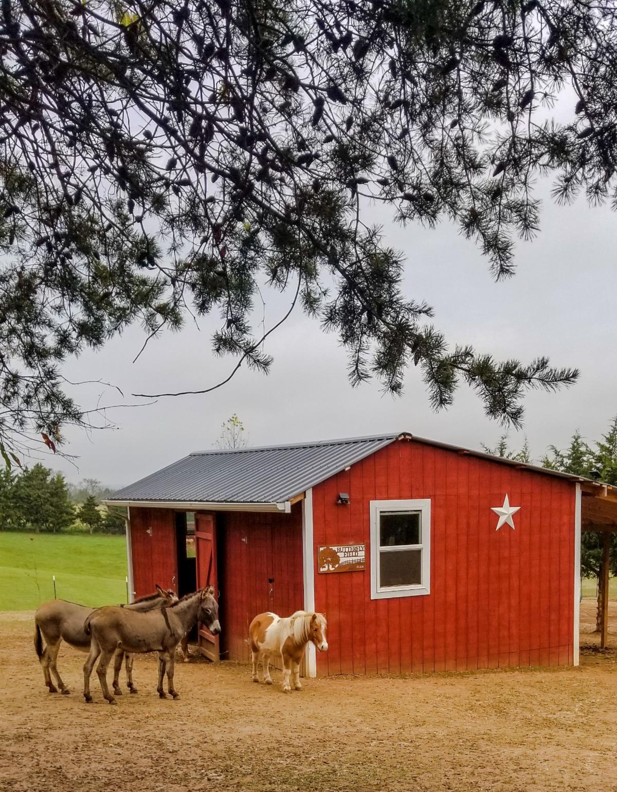Butterfly Field Farm - Destination Bedford